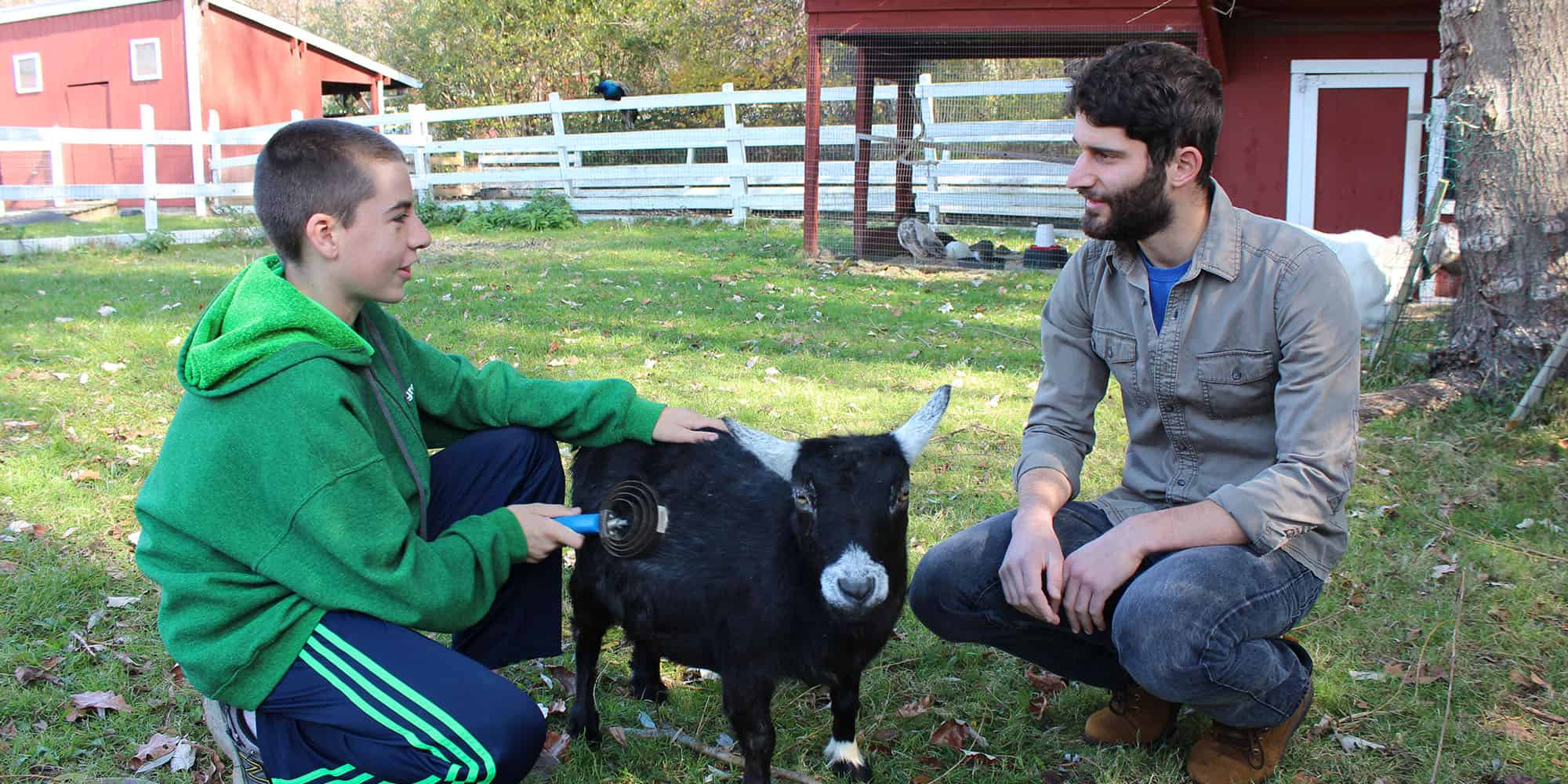 About Us - Green Chimneys