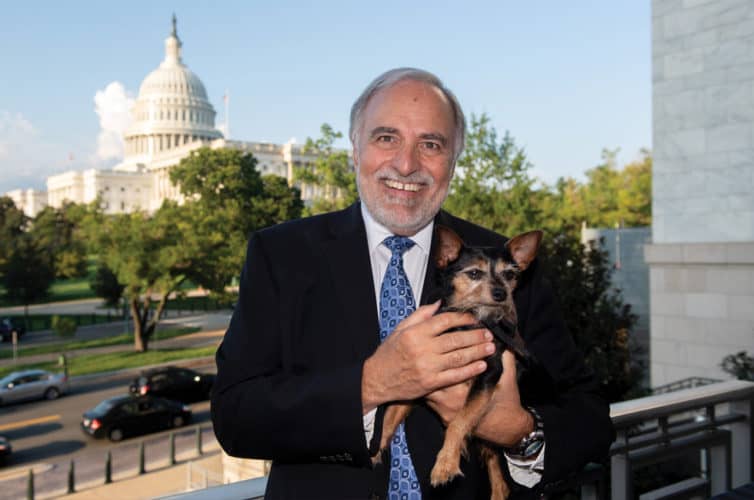 Green Chimneys Names APPA CEO Bob Vetere as New Board President - Green ...