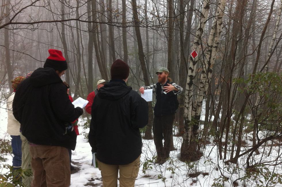 Guided Winter Tree Hike - Green Chimneys