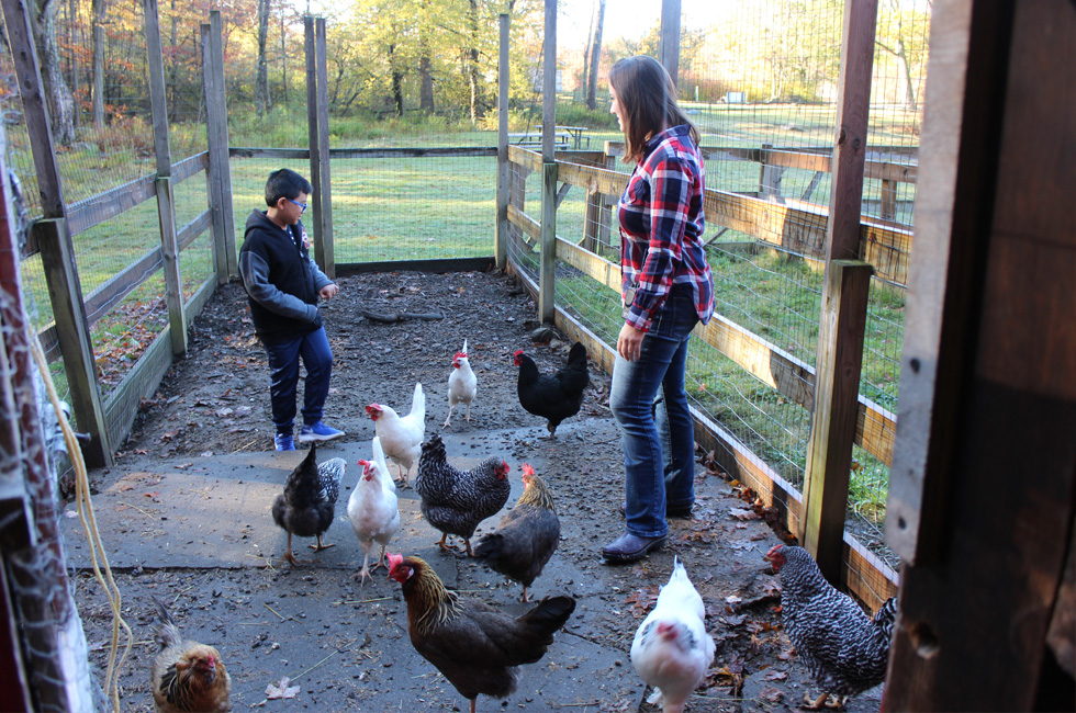 Unique Farm and Garden Internship - Green Chimneys