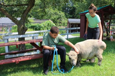 Home - Green Chimneys