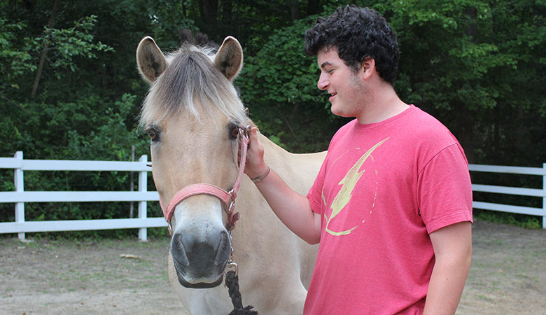 Volunteer with Horses - Green Chimneys