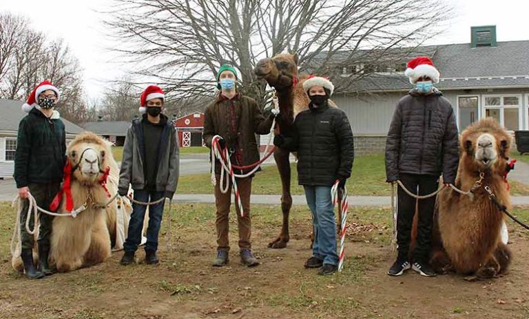 Camel Workshop - Green Chimneys