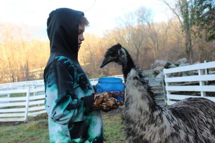 Enrichment Supports the Well-Being of Wildlife and Creates Learning ...