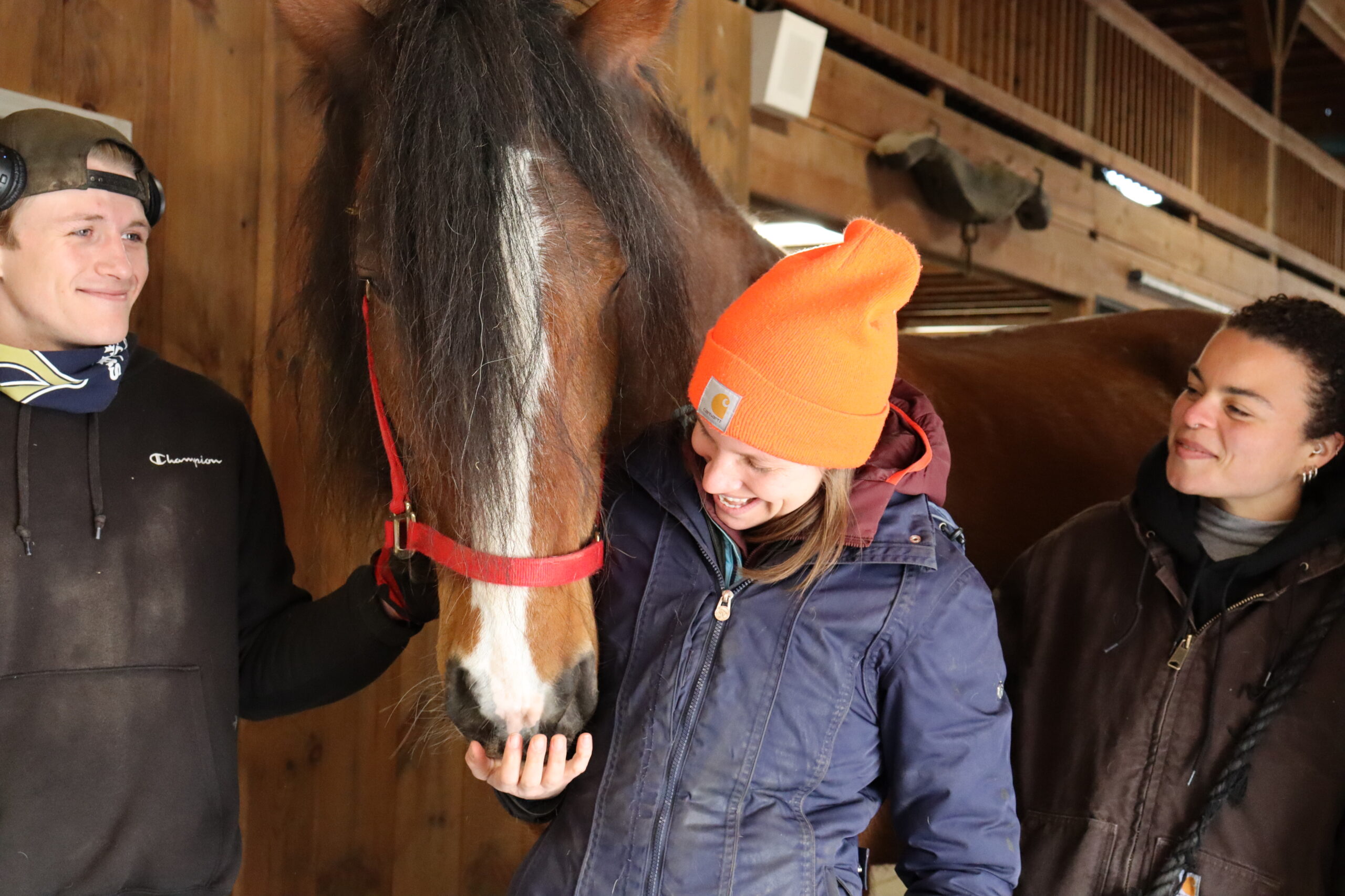 Maple's Sweet Journey - Green Chimneys