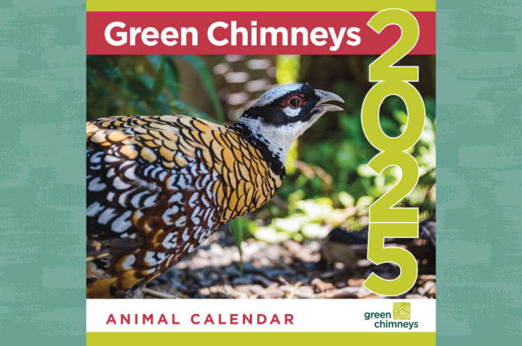 2023 Wildlife Rehabilitation Recap - Green Chimneys