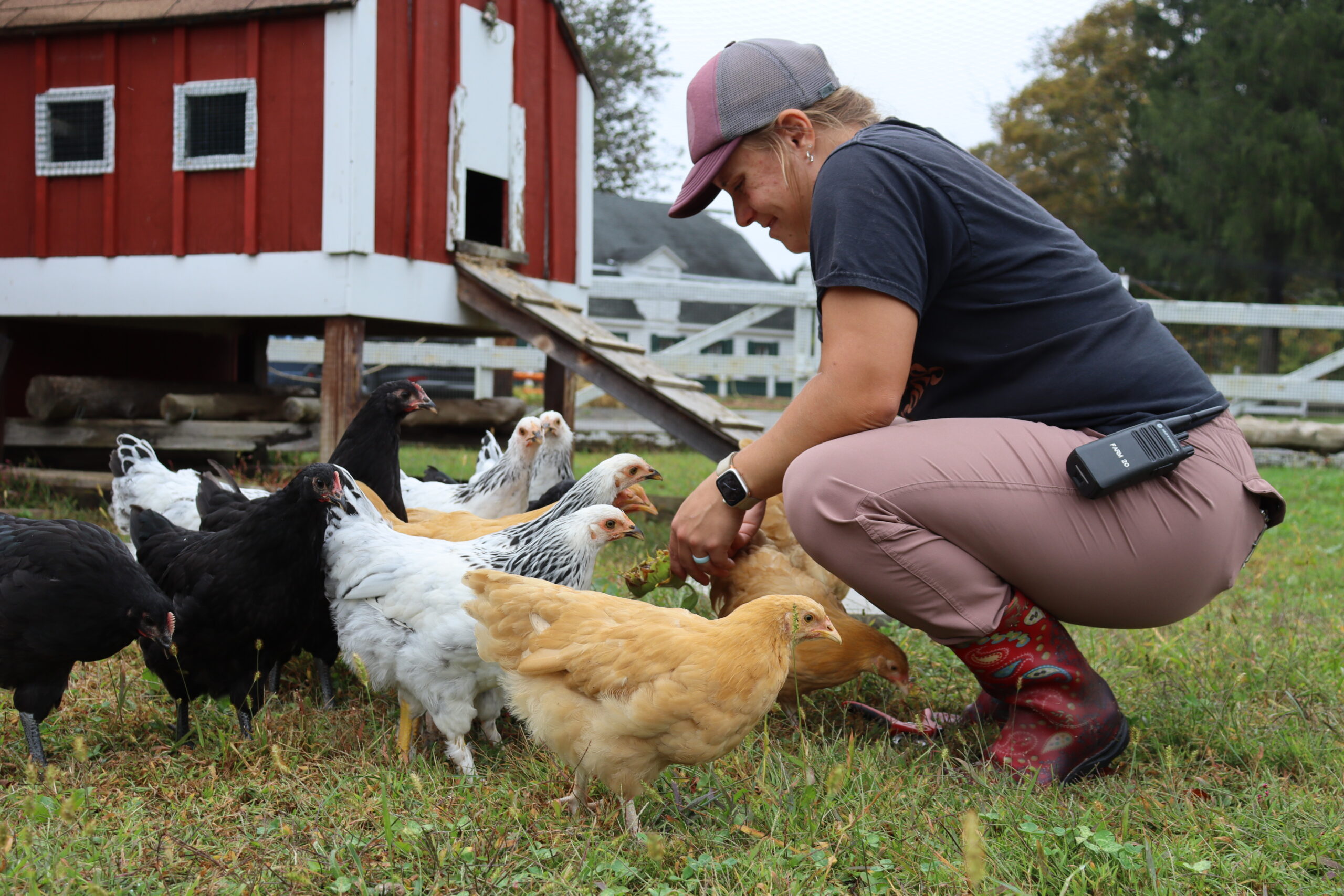 Prioritizing Partners in Animal-Assisted Services - Green Chimneys